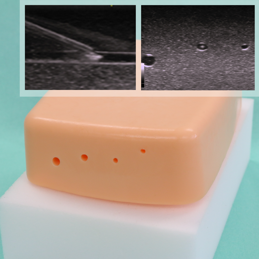 US-Sensist 血管穿刺モデル