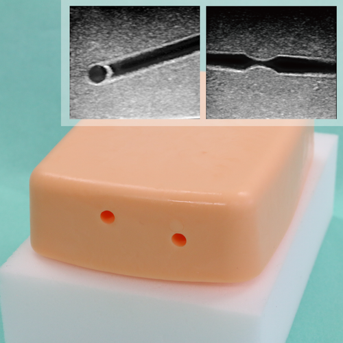 オンラインストア|医療教育|CERCIT