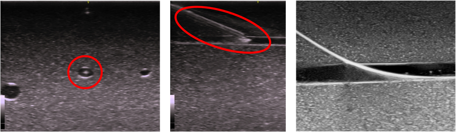 オンラインストア|医療教育|CERCIT